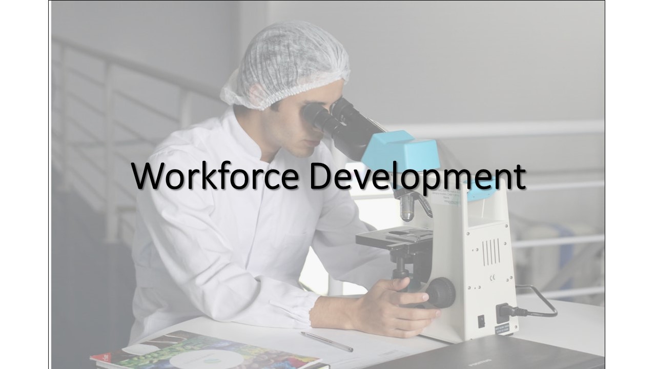 Workforce Development | City of Lathrop CA