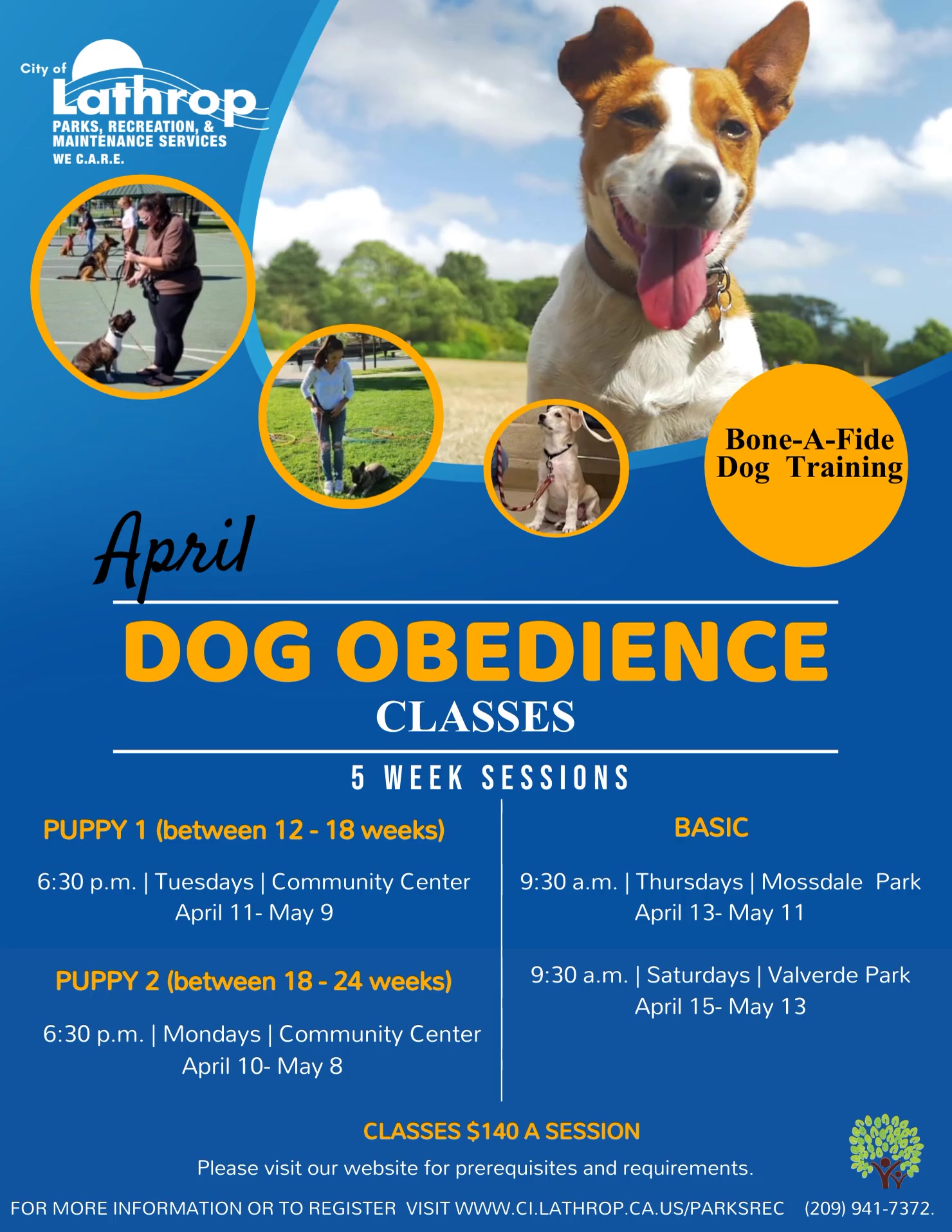 Dog Training Classes | City of Lathrop CA